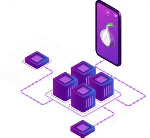 How To Use TOR Bridges Torweb