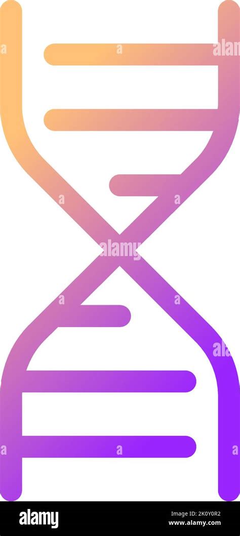 Dna Structure Pixel Perfect Gradient Linear Ui Icon Stock Vector Image