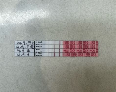 임신극초기 증상 초 예민한 임신 준비 예비맘의 배란부터 생리 당일까지 증상공유 피검사 Hcg 수치 스마일 배테기 원포 임테기 네이버 블로그