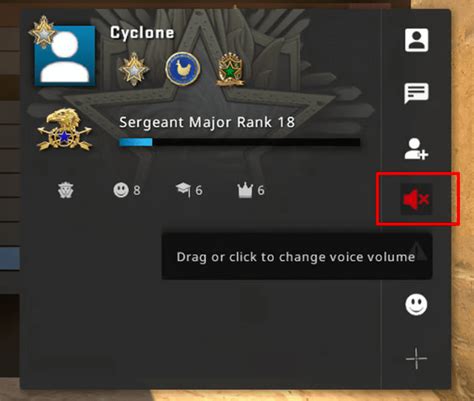 How To Mute In CS Guide Profilerr