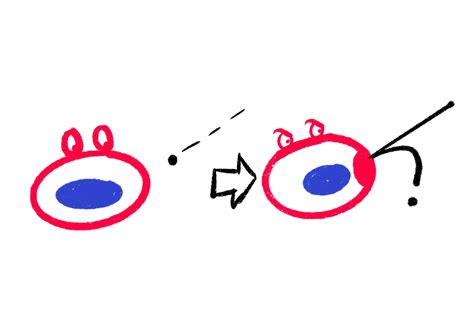 Active Inference And The Free Energy Principle Tasshin