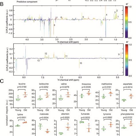 Nmr Metabolomics Analysis Of Mouse Lung Samples A O Pls Da Plot Of Download Scientific