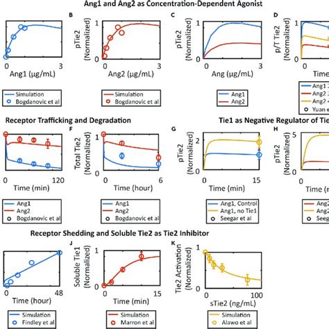 Model Calibration Using Global Optimization A And B The Download Scientific Diagram