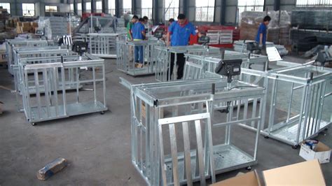 Livestock Anmial Steel Metal Goat Sheep Weighing Scale Sheep Scale Livestock Anmial Steel Metal Goat Sheep Weighing Scale Sheep Scale