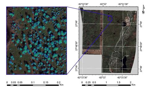 Intermediate Results From The Masking And Segmentation Process Shown Download Scientific