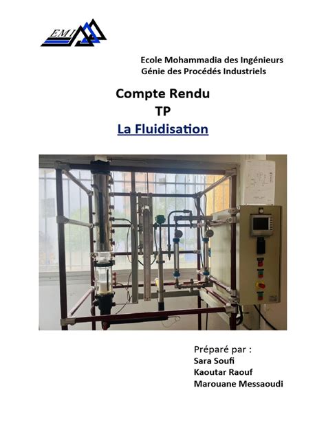 Fluidisation Pdf