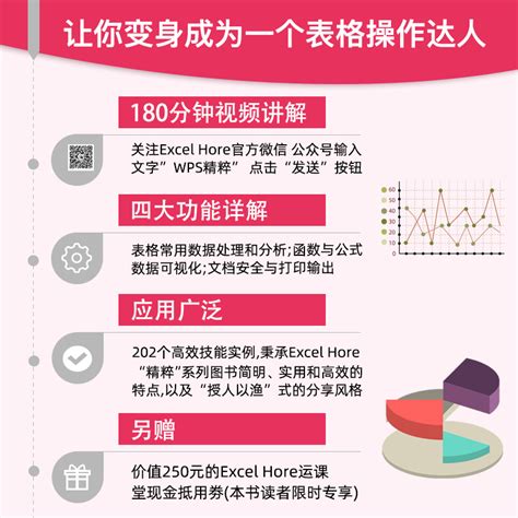 2021新书 Wps表格实战技巧精粹 Excel Home编 Excel函数公式大全计算机教程书籍自学全套办公软件零基础书电脑wps表格制作