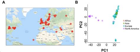 The Arabidopsis Pan Genome A Map Of The 103 Arabidopsis Accessions