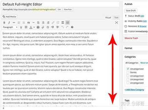 如何在 Wordpress 中禁用全高帖子编辑器 知乎