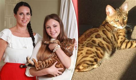 Hot Sexy Tabby Kent Bikini Pics