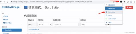Burpsuite 代理和浏览器设置burpsuite代理设置 Csdn博客 Burpsuite 代理和浏览器设置burpsuite代理设置 Csdn博客