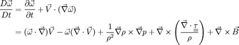 Vorticity Equation