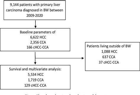 Figure 1 From Clinical Characterization Of Hcccca Mixed Cancers In A