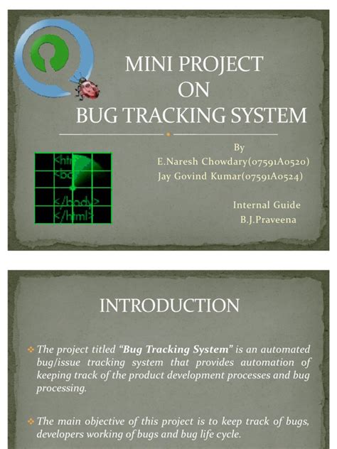 Bug Tracking System Software Bug Microsoft Visual Studio