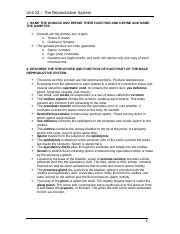 Unit 23 The Reproduction System Doc Unit 23 The Reproductive System 1 NAME THE GONADS AND