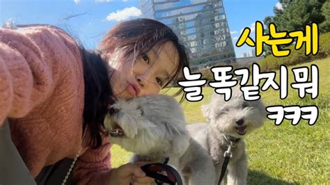 Vlog 3일 연속 같은 식당가는 사람의 브이로그 스피닝에 빠진 요가강사 일상브이로그 에슐리퀸즈 혼자가고 친구랑가고