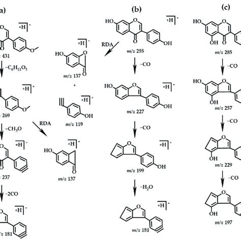 Chemical Structure And Fragmentation Pathways Of A Orientin B Download Scientific Diagram