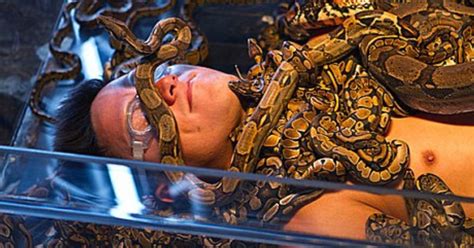 Fear Factor Is Coming Back So Get Ready To Lose Your Lunch All Over