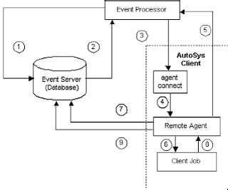 SURENDRA PULAGAM AutoSys Cheatsheet