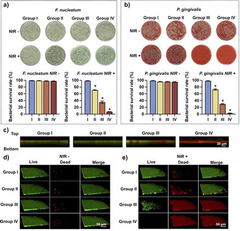 Antibacterial Activity Of Different Nanoparticles Against A F Download Scientific Diagram