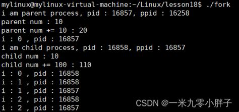 Linux 的父进程和子进程的执行情况（附有案例代码）linux进程的创建父进程创建子进程程序的执行顺序有什么特征 Csdn博客