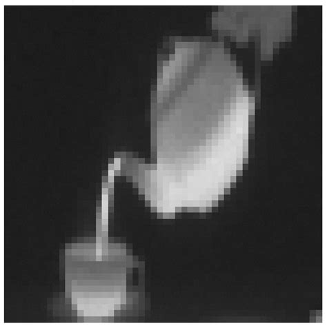 Entropy Free Full Text Image Segmentation Based On Statistical