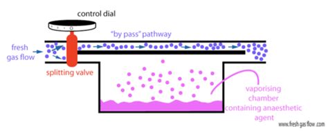 Maintenance Flashcards Quizlet