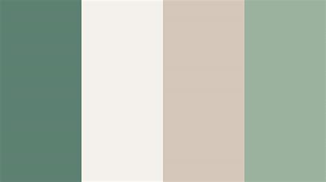 The Best 15 Cool Eucalyptus Color Palette Ideas For Video And Design