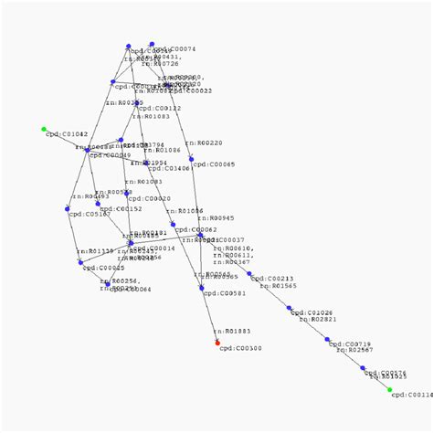 14 directed metabolic graph produced by linked metabolites showing the