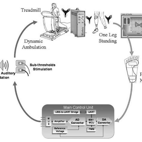 System Architecture Of The Proposed Proprioceptive Neuromuscular Download Scientific Diagram