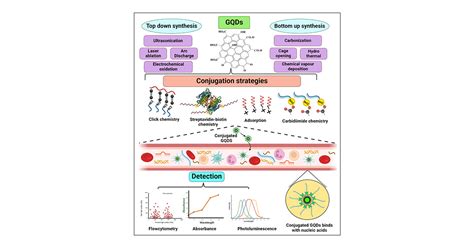 Bioanalytical Applications Of Graphene Quantum Dots For Circulating Cell Free Nucleic Acids A