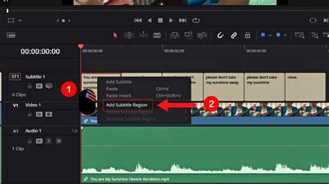 How To Add Multiple Subtitles In DaVinci Resolve