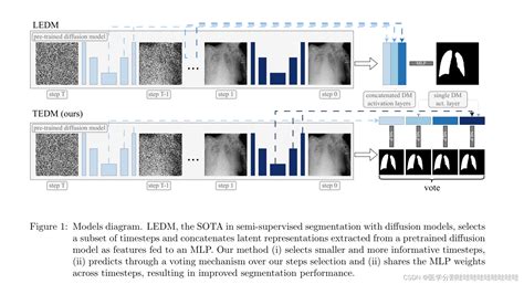 Robust Semi Supervised Segmentationwith Timestep Ensembling Diffusion