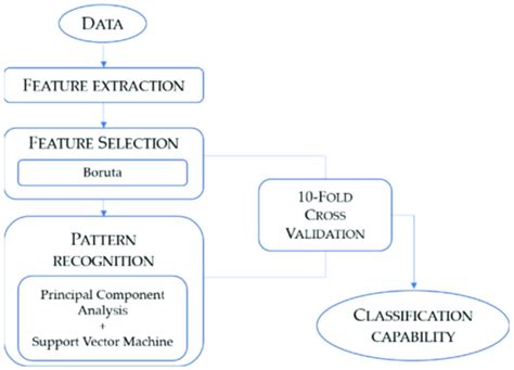 schematic representation of the data processing procedure adopted for