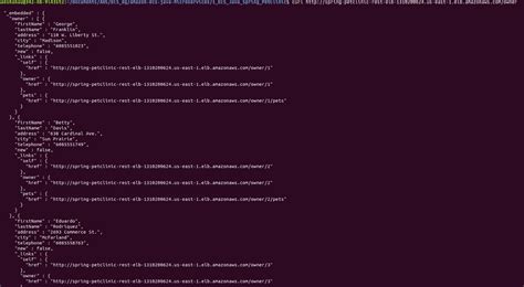 Deploying Java Microservices On Amazon Elastic Container Service Ecs