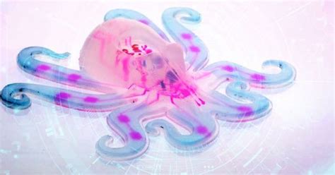 Harvard Made The Worlds First All Soft Robot Its Autonomous And Its