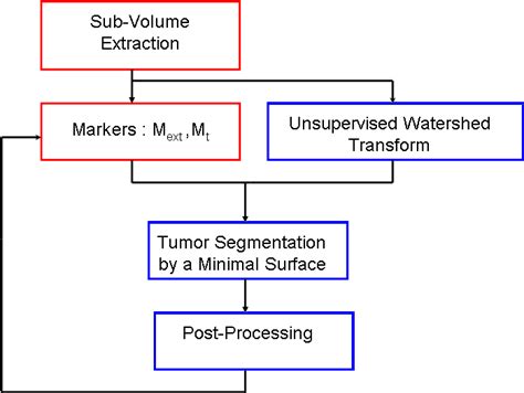 11 Lung Tumors Segmentation By Minimal Surfaces The User Provided