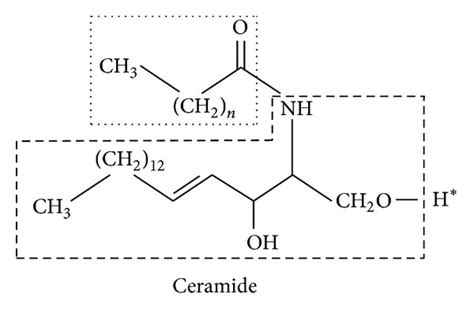 Structure Of Key Sphingolipid Molecules All Sphingolipids Are Download Scientific Diagram