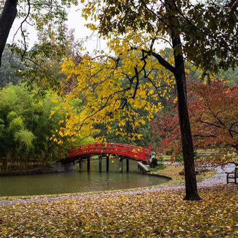 Tennessee Fall Colors 12 Great Places To Enjoy Fall Foliage