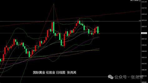 张尧浠：美3月降息押注降低、黄金重挫再转震荡偏弱 脉脉