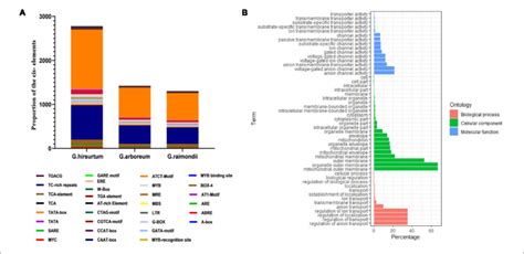 A Cis Regulatory Elements And Gene Ontology Annotation A Average Download Scientific