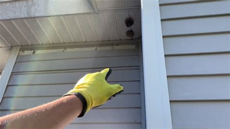 How To Remove Wasp And Bees Nest Safely YouTube How To Remove Wasp And Bees Nest Safely YouTube