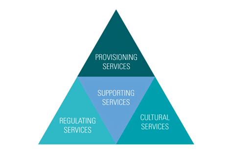 The Triangle Of Ecosystem Services Text In Corners Regulating