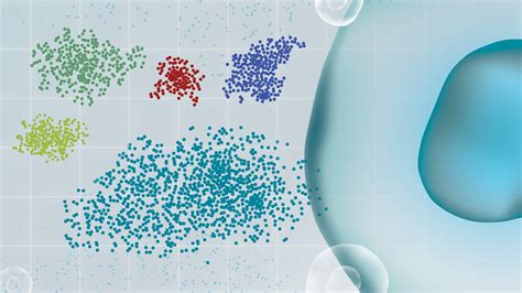 Single Cell Atac Seq Bio Rad