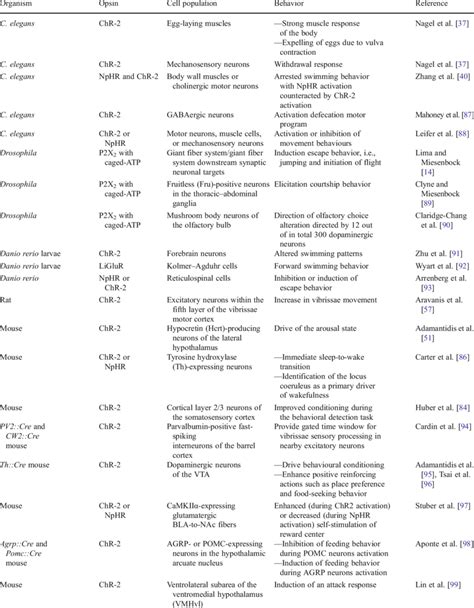 Neuronal Populations Tested For Respective Behaviors Using Optogenetics Download Table