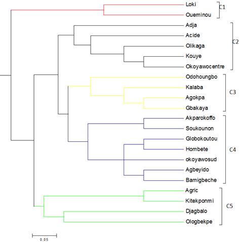 Dendrogram Showing The Morphological Similarity Download Scientific