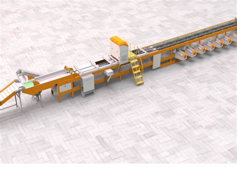 Fruit Sorting Machine At ₹ 2500000 Fruit Sorting Machine In Bengaluru