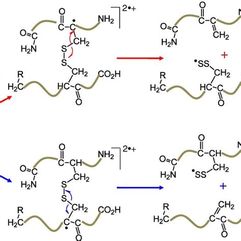 Pdf Electron Transfer Dissociation Etd Of Peptides Containing