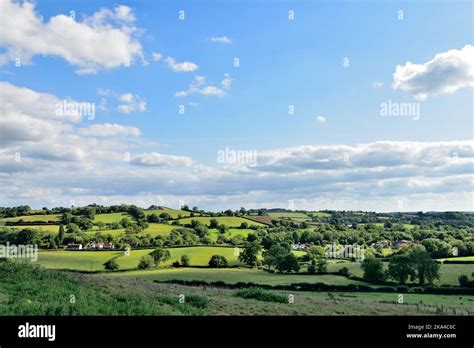 Trees Fields Of Flat Countryside Of Somerset Near Clutton England Uk