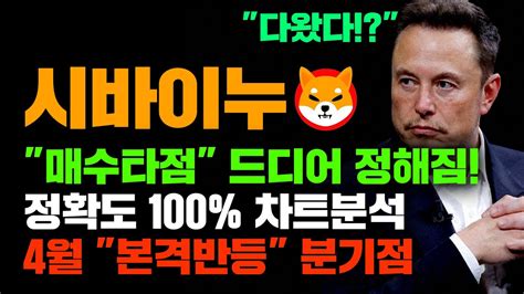 시바이누 긴급 정확도 100 차트분석 4월 본격반등 분기점 정해졌습니다 여기서부터 매수하세요 코인시황 Youtube